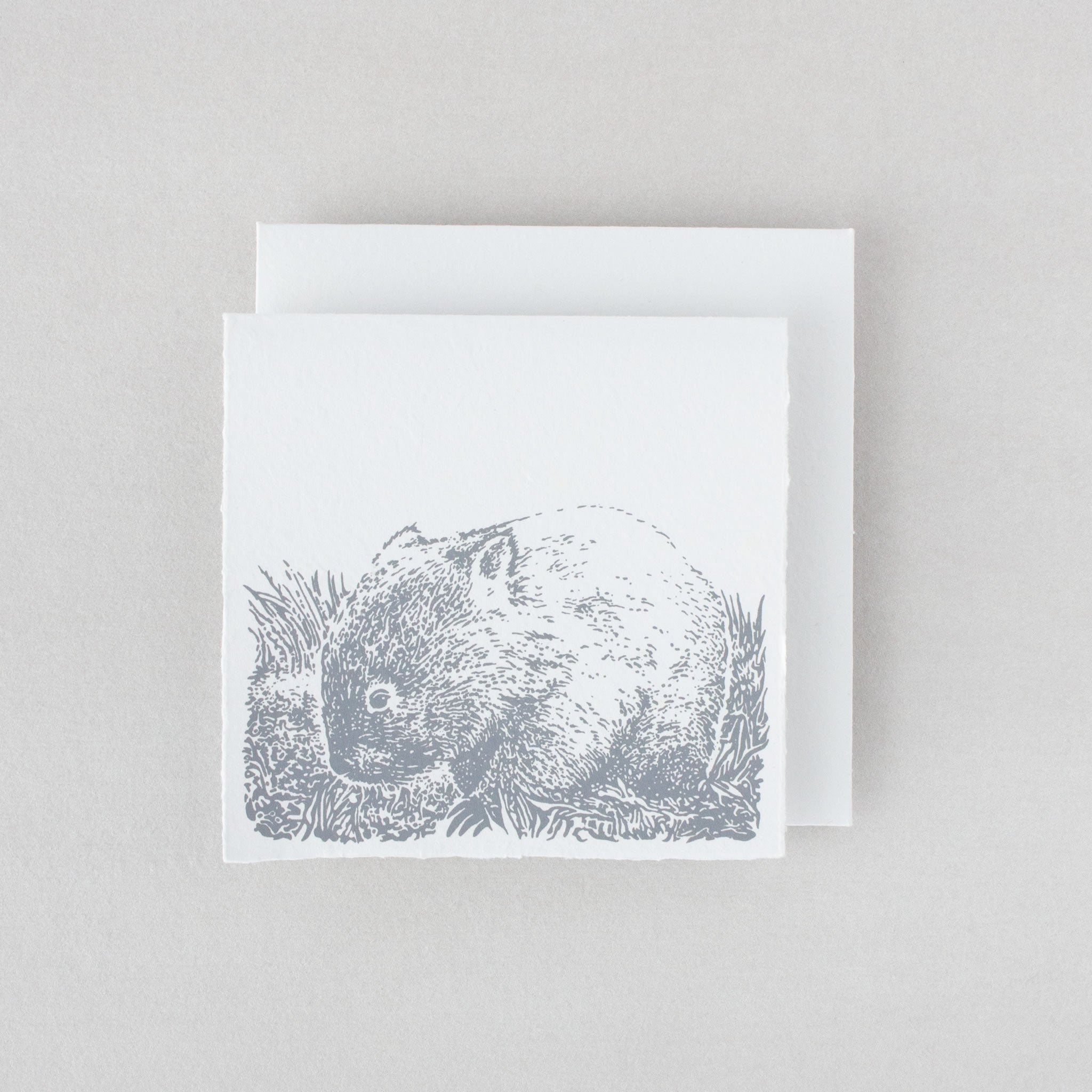 Tasmanian native wombat – Plane Tree Studio